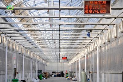 Cina Serra di semina idroponica a tenda umida con opzioni di personalizzazione e dimensioni del pacchetto in vendita