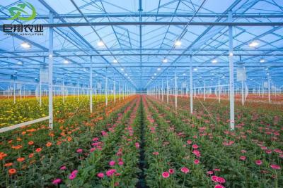 Cina Serra per ombreggiatura esterna per il controllo dell'umidità nella produzione commerciale di serre in vendita