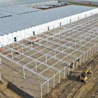 Cina Struttura in acciaio Serra per la produzione di pepe con metodo di coltivazione idroponica in vendita