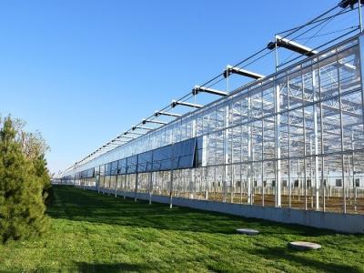 Cina Juxiang prime s Ambiente controllato Sistema serra nei materiali da costruzione in vendita