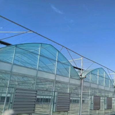 Cina Struttura a doppio arco - serra idroponica realizzata per le esigenze di produzione agricole miste in vendita