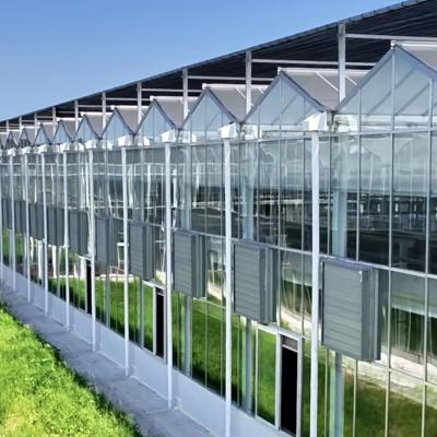 Cina Sistema idroponico per serre in vetro multi-span per condizioni ottimali di crescita vegetale in vendita