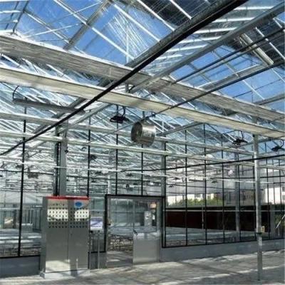 Cina Struttura di tubi in acciaio galvanizzato a caldo materiale vetro temperato serra per cetriolo in vendita
