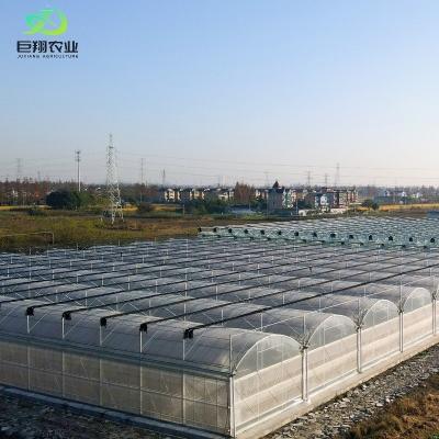 Cina Serra di privazione luminosa automatica al 100% per il Canada / Stati Uniti in vendita