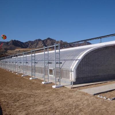 Cina Tetti a forma di arco Tetti ad arco JX-Arch Greenhouse per la coltivazione idroponica di pomodori fragole in vendita