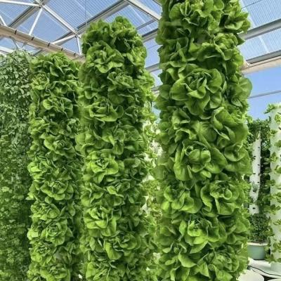 Cina Canopy di serra in vetro di origine cinese per fiori 30 giorni di ritorno 100.000 kg di peso lordo in vendita