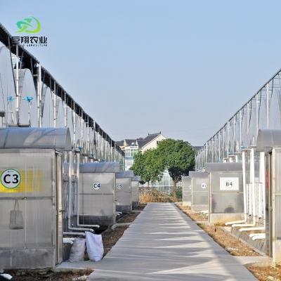 Cina 8m 9,6m 12m film di plastica su misura con sistema di coltivazione idroponica in vendita