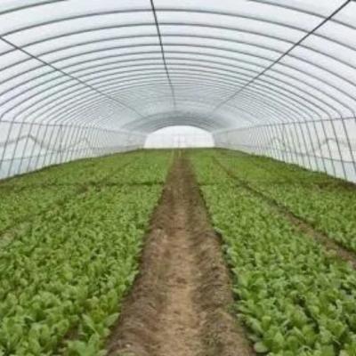 Cina Serra da giardino in vetro a telaio di alluminio Serra commerciale vittoriana per verdure in vendita