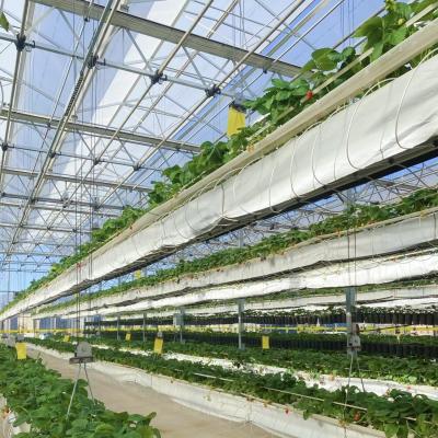Cina 100.000kg Pacchetto Peso lordo Serra di vetro per la coltivazione idroponica di fiori in vendita