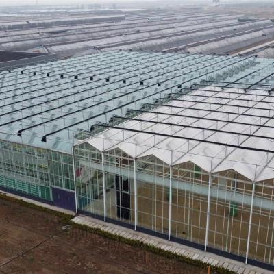 Cina Serra in vetro per l'irrigazione a goccia versatile e personalizzabile in vendita