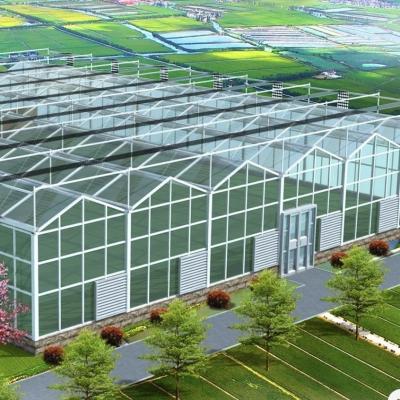 Cina Sistema idroponico in serra a doppio strato di vetro per la coltivazione di fiori Rimborso di 30 giorni in vendita