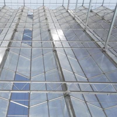 Cina Serra con tetto di vetro per la coltivazione di fiori Pagamento iniziale e costi di spedizione convenienti in vendita