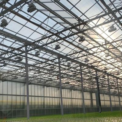 Cina Installazione idroponica di vetro ad alta trasmissione luminosa per serre commerciale a pagamento completo in vendita