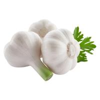 Quality Hot sale fresh garlic normal white for sale with cheap price in china for sale