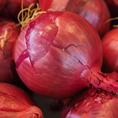 2023 new crop of brand fresh onions Red Shallot seeds price per ton in China for