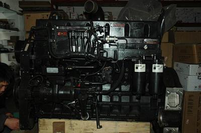 China QSM11 Cummins Engine en venta