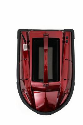 China Red Eagle Finder Twin-hull Remote Control GPS Bait Boat With LCD Screen RYH-001B for sale
