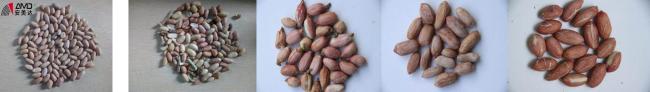 peanut color sorting machine