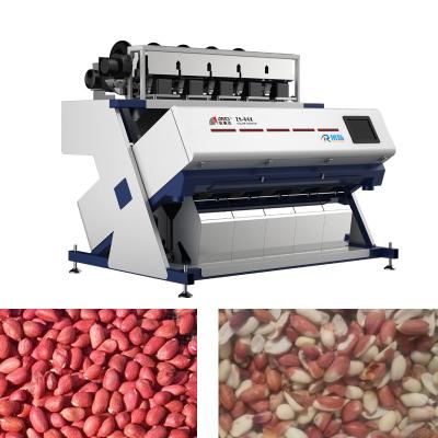 China Peanut Color Sorting Machine for sale