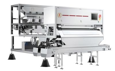 China Trichromatic Peanut Color Sorting Machine for sale