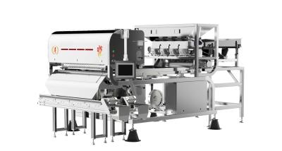China Trichromatic Peanut Color Sorting Machine for sale