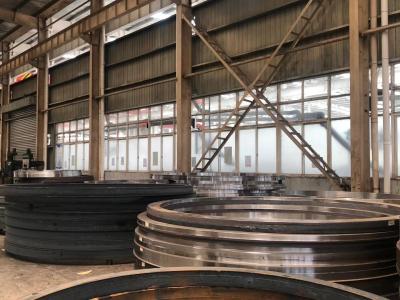 Cina Grande ingranaggio dell'OEM che vuota Ring Turntable For Crane, estrazione mineraria, energia eolica in vendita