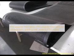 PTFE Mesh Fabric with Wide Width (3.8m) PTFE Coated Fiberglass Reinforced for Conveyor Belt and Griddling Cloth