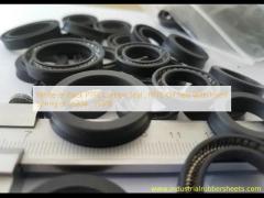 하얗거나 검은 PTFE 탄소 밀봉, PTFE 기름은 SS304, SS316의 삽입물 봄으로 밀폐합니다
