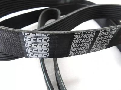 Cina Cintura 3974030 in vendita