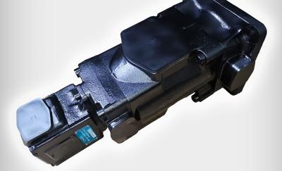 Κίνα 024-91903-0/03 Vane μετατοπίσεων T6EES-M66-M50-1L03-A12-00 Parker Denison T6EE σταθερή T6EES αντλία προς πώληση