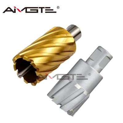 Cina Fresa anulare ad alta efficienza 50% più veloce con punta diamantata al carburo per taglio fori in strutture in acciaio in vendita