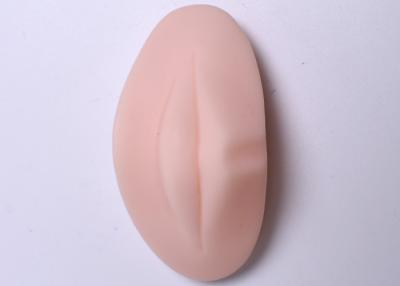 Cina Occhi sostituibili della pelle 2 permanenti di pratica di trucco + 1 formazione delle labbra del sopracciglio del silicio del labbro 3D del pc in vendita