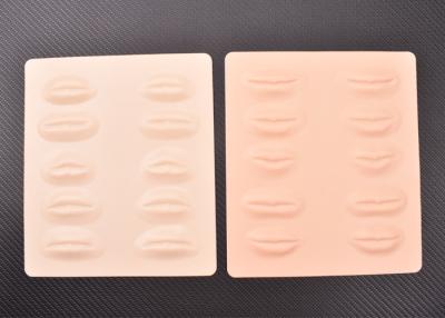 Cina pelle permanente di pratica di trucco delle labbra molli del silicio 3D & 4D per addestramento di trucco in vendita