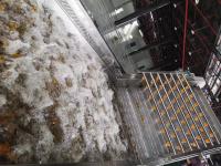 PLC Control 220V 3T/Day Grape Juice Processing Line