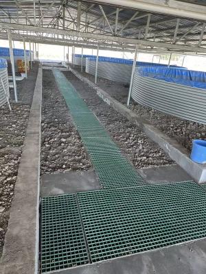 Chine Fish Farm FRP Grating Walkway or Platform Can Be Customized For Size And Color à vendre