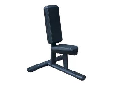 Chine Pro banc de poids de service de gymnase de puissance de support de vitesse commerciale d'intérieur de forme physique à vendre