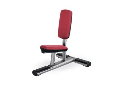 Chine Pro banc de poids de service de gymnase de puissance de support de vitesse commerciale d'intérieur de forme physique à vendre