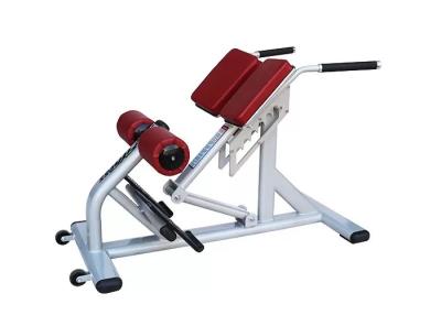 Chine Pro banc commercial d'extension de dos d'équipement d'exercice de support de gymnase à vendre