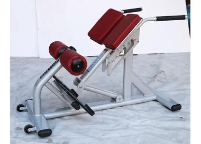 Chine Pro banc commercial d'extension de dos d'équipement d'exercice de support de gymnase à vendre