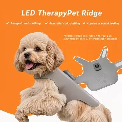 PET2001 wearable fit and back-area coverage reference PET2001 LED Therapy Pet Ridge demonstrating proper fit and back coverage on animal