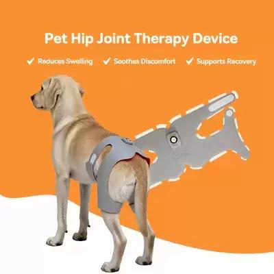 PET2003 fit and hip-area coverage reference PET2003 fit and hip-area coverage reference