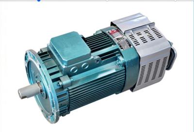 中国 低雑音構造の持ち上げ装置のための二重リング座席起重機の電動機 販売のため