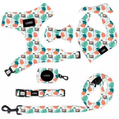 Κίνα Fashion Printing Pet Harness Set For Dog Quick Release Sustainable προς πώληση