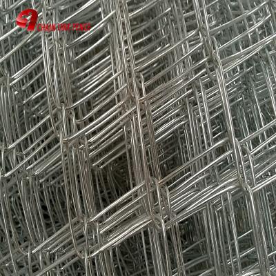 High Quality Factory Goat Galvanized Chain Link Fence for Agricultural Fence