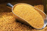 Quality 66071-96-3 Corn Gluten Meal Pellet Feed Sweet Dry Corn Spirulina Flat Fish 25kg for sale