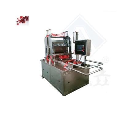 Κίνα Μεγάλη παραγωγικότητα βατόμουρο Gummy Candy Machine για την παραγωγή ποικίλων μαλακών καραμέλας προς πώληση