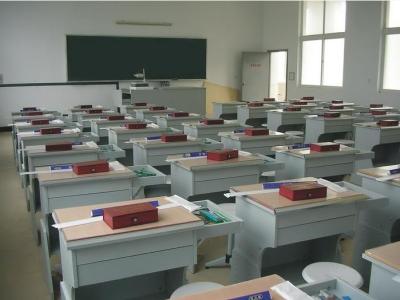 Cina Attrezzatura di laboratorio educativa di scienza della scuola secondaria per l'aula di arte in vendita