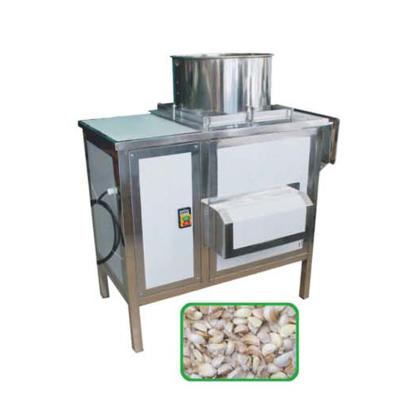 Cina Chiodo di garofano di aglio che separa la macchina utensile a macchina alto 500-800kg/h efficiente dell'alimento in vendita