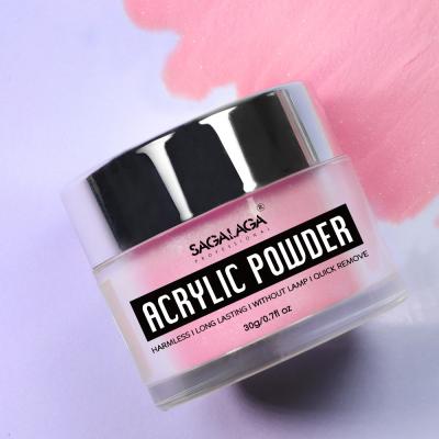 China SAGALAGA Acrylic Nail Powder Wholesale OEM 50G Ombre Colors Private Label Acrylic Nail Powder Wholesale Bulk for sale