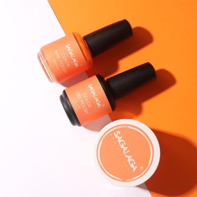 China More Colors Nail Dip Powder Kit Clear Color Quick Drying Dip Powder Nail for sale